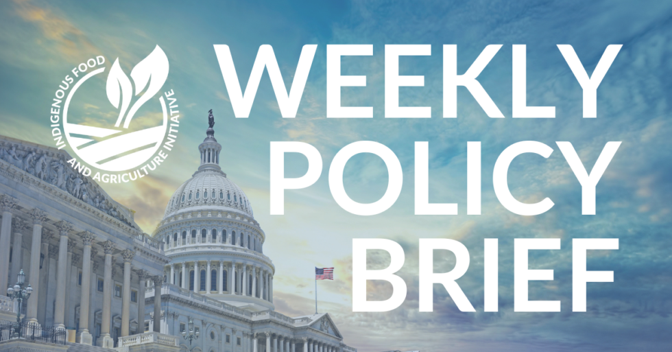 Home - Indigenous Food and Agriculture Initiative